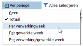 Loonstaat informatie – HelloFlex
